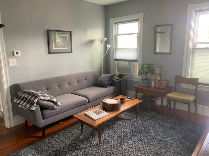 Mid Century Inspired Condo: Dogs Stay Free - Providence, RI