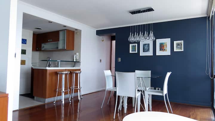 Luminoso & Acogedor Centro De Providencia - Santiago