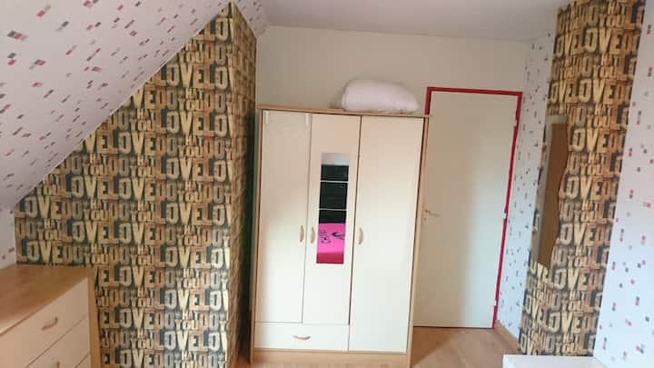 Chambre Chez L'habitant Proche Centre Ville. - Orléans