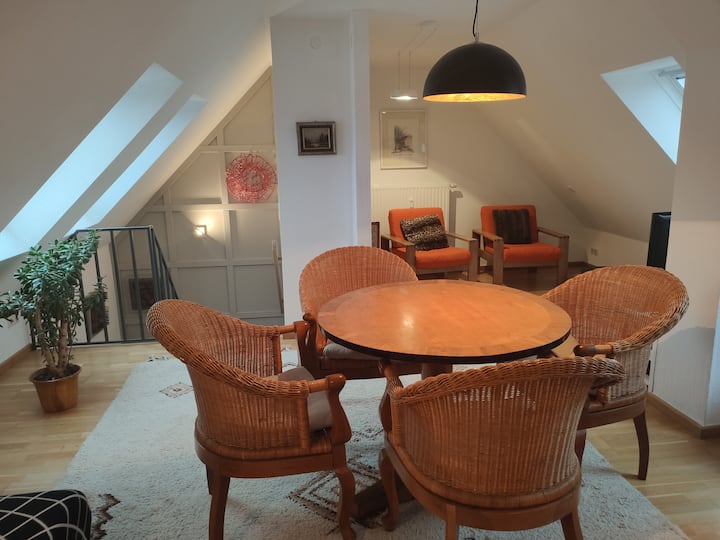 Dachwohnung Im Gründerzeithaus Neustadt Leipzig - 萊比錫