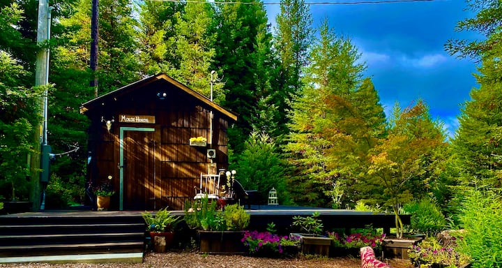 Charming 150 Yr. Cabin In The Redwoods - Fort Bragg, CA
