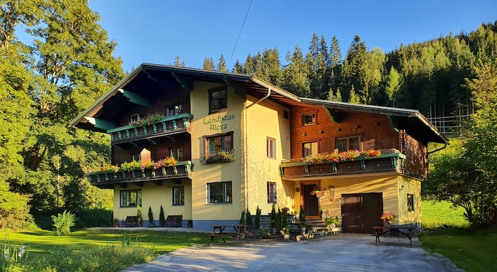 Enzian, Landhaus Alexa, Private Country House - Flachau