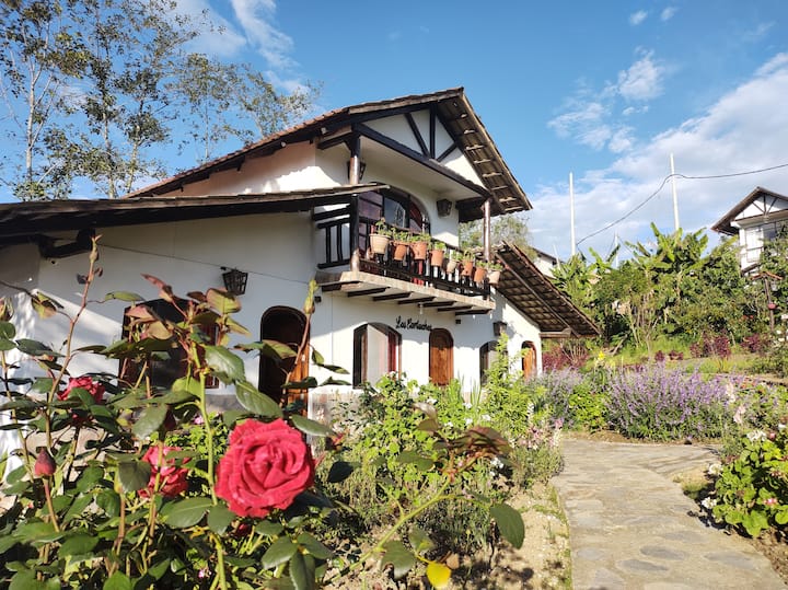 Bungalows Para 6 Personas - Chachapoyas