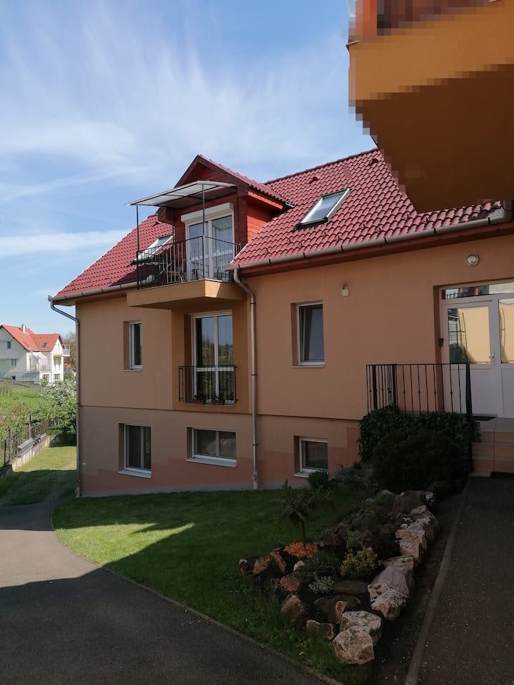 Zita Apartman- Erkèlyes Családi Apartman - Demjén