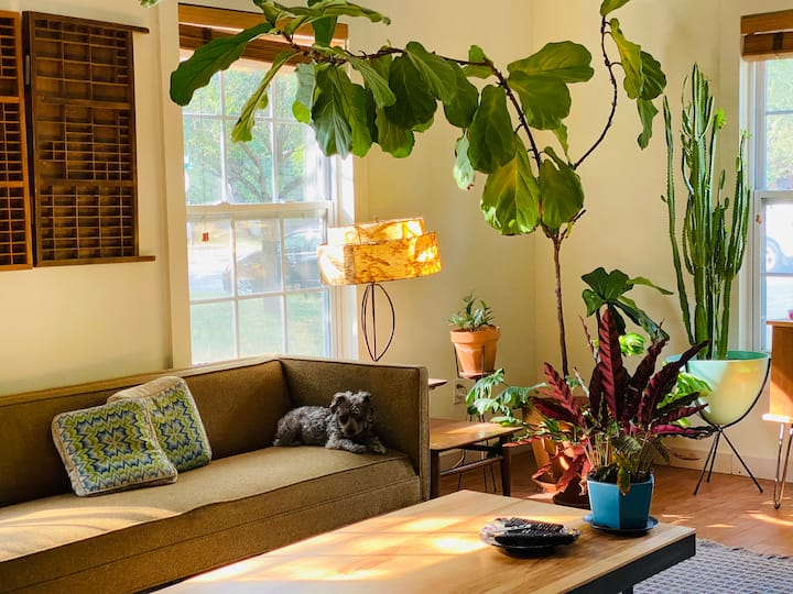 Bright & Spacious Home With Yard In Central Austin - Austin, TX