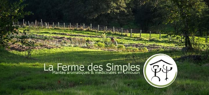 Chambres D’hôtes Au Vert, Un Petit Coin De Paradis - Rochechouart