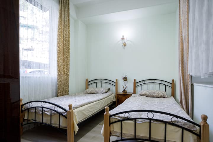 Spacious & Quiet 2-bdr Downtown Apt + Guide-driver - 耶烈萬