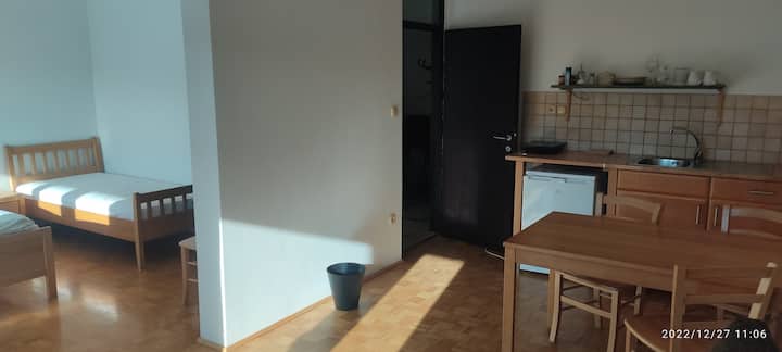 Studio With Balcony - Kranj