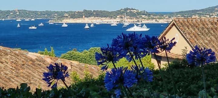 Grande Terrasse Avec Vue Mer Et Saint-tropez - Grimaud