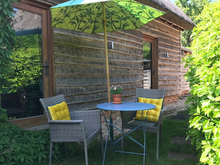 Studio Barn Nr Culham Science Centre - Wallingford