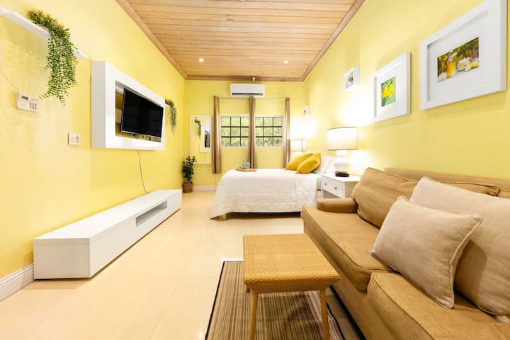 Yellow Elder @ Island Courtyard - Apt #3 - Nassau