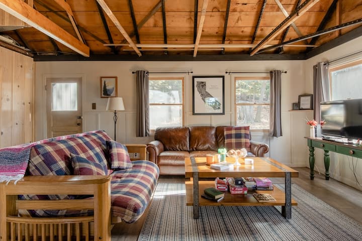 Pine Ridge House - Idyllwild-Pine Cove, CA