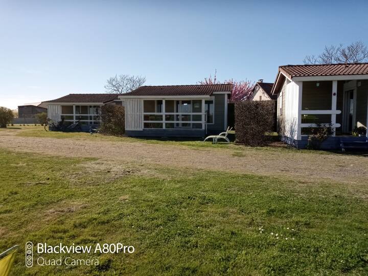 Chalet "Les Coccinelles" à Proximité Du Pal - Dompierre-sur-Besbre