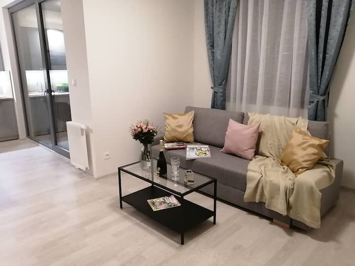 Your Perfect Stay In Karlín - Prague