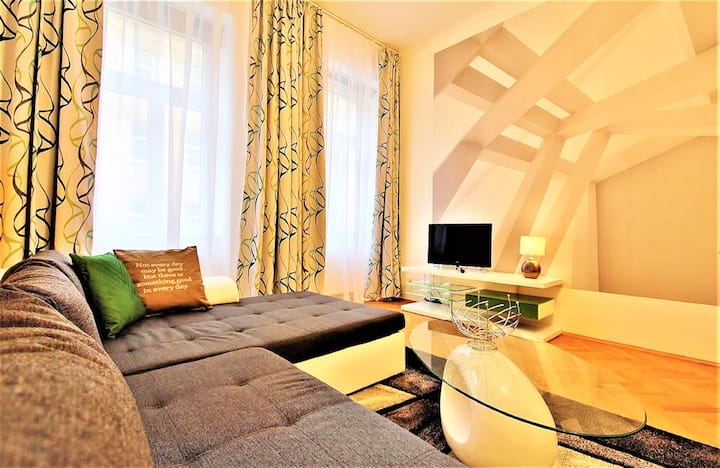 2br Apt For 6 Augarten Donaukanal U2 Taborstraße - Viena