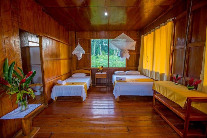 Tours & Hospedaje En La Jungle - Puerto Maldonado