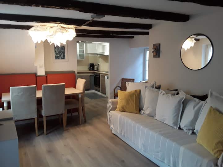 Gîte 3* Le Repaire Des Hirondelles - Le Colombage - Molsheim