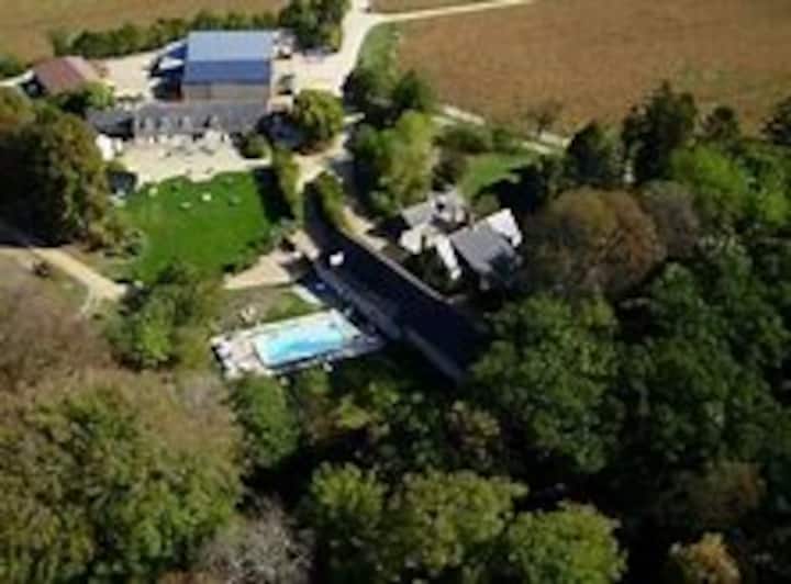 *Domaine Du Plessis -Jalesnes Gf Gt Fp - Bourgueil