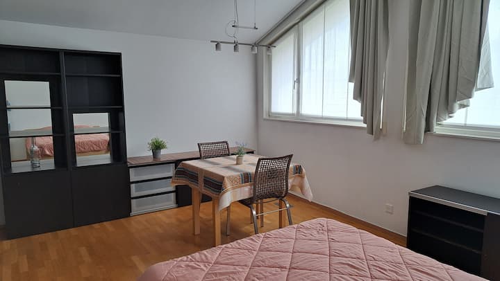 Casa Ideale Per Una Coppia O Piccolo Gruppo Amici - Lugano