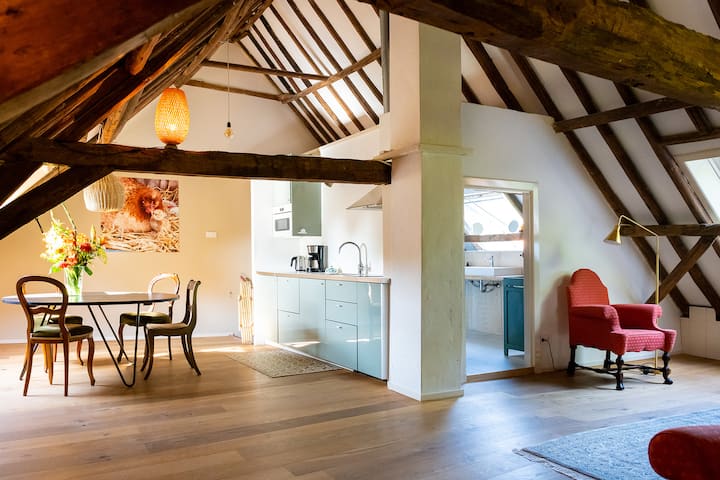 Kruiskozijn-tuk Aan De Vliet Loft - Leiden