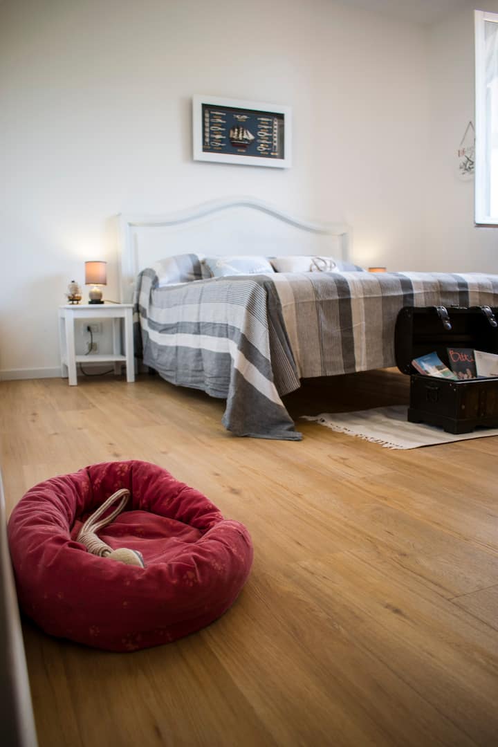 Country Road House - Room 1 - Sassari