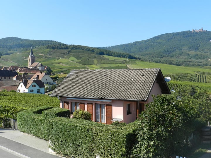 Gîte Pinot Noir - Thannenkirch