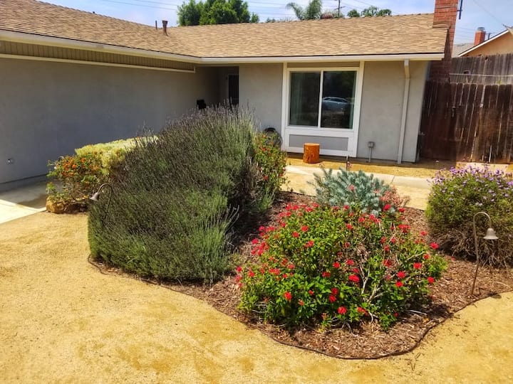 Quiet Hideaway - Ventura, CA