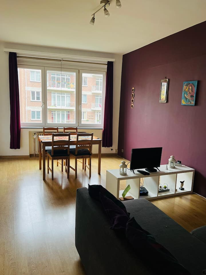 Quiet&cosy Apt. In Ixelles Close To Eu&city Center - Drogenbos
