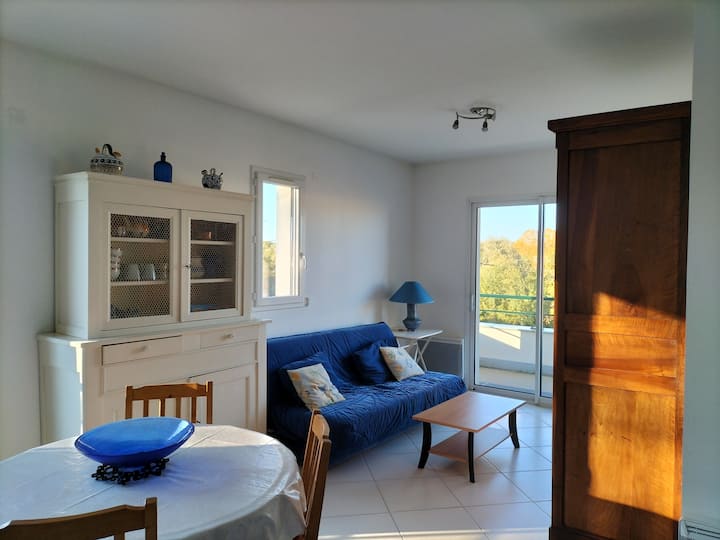 Bergerac : Logement Avec Vue Sur La Dordogne - Bergerac