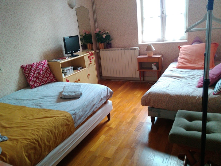 La Chambre Fleurie Des Faubourgs Moulinois - Moulins