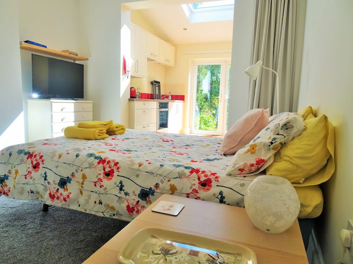 Studio With Kitchenette And Ensuite Greater London - Bromley