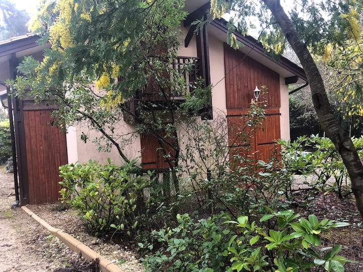 Maison De Vacances Lacanau Océan - Lacanau