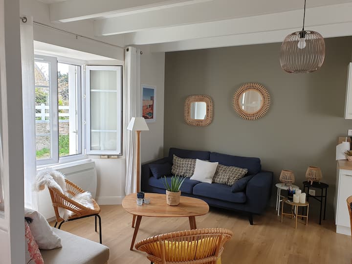 Charmante Maison De Pêcheur à  L'ile De Groix. - Groix