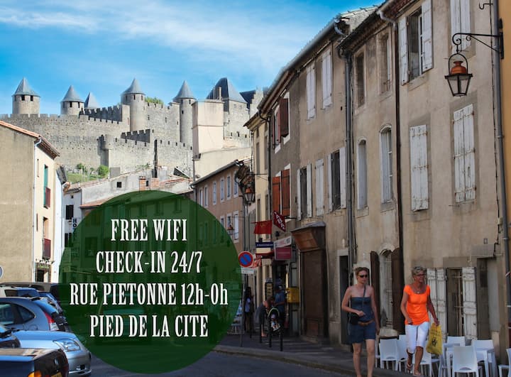 Les Petits Conforts, Au Pied De La Cité (7 Pers) - Carcassonne