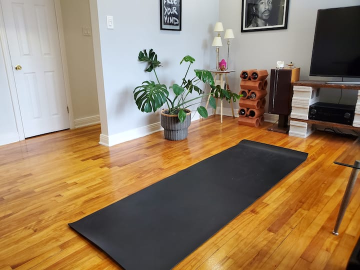 Spacious 1 Br W/ Free Parking & Private Patio - Ottawa