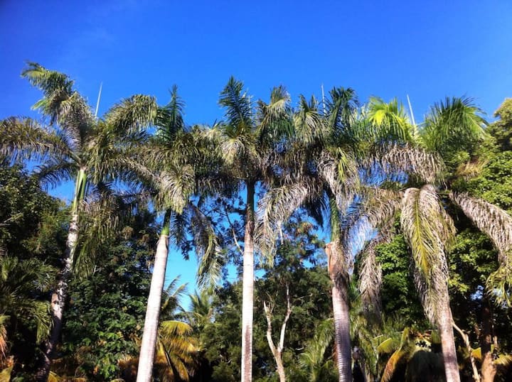 Gorgeous Newly Reno'd 1 Bedroom Cabarete Center - Dominican Republic