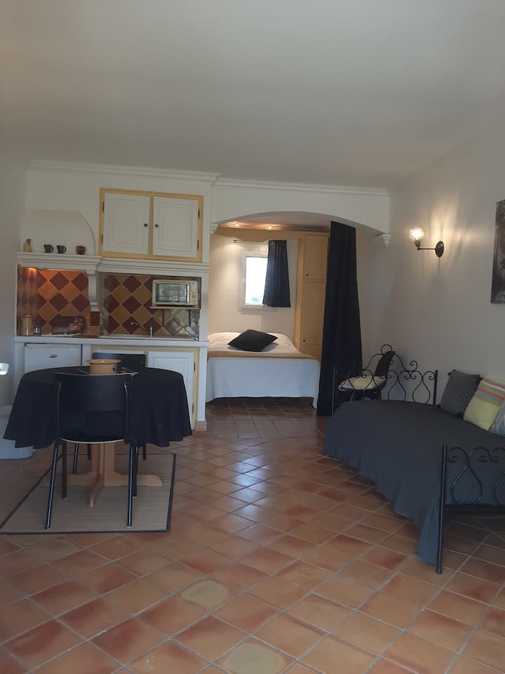 Studios Dans Mas Provencal Avec Piscine - Roquebrune-sur-Argens
