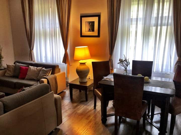 Two Bedrooms Apartment In Downtown  Prague - Prága