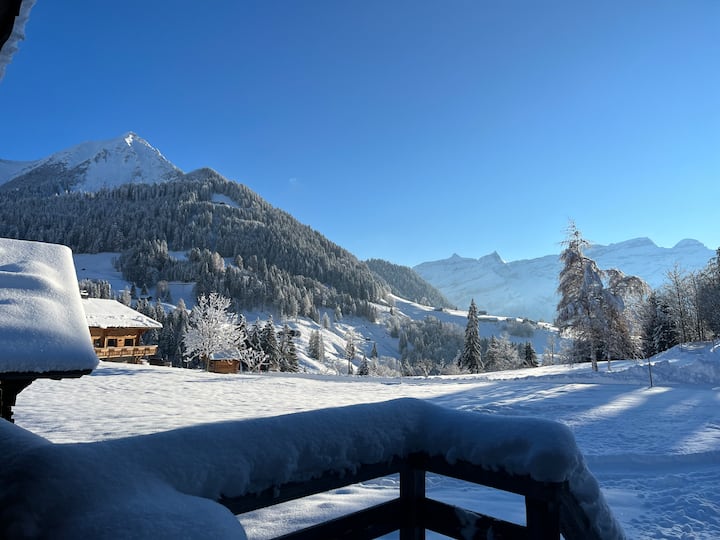 Grand Chalet Chaleureux - Les Diablerets