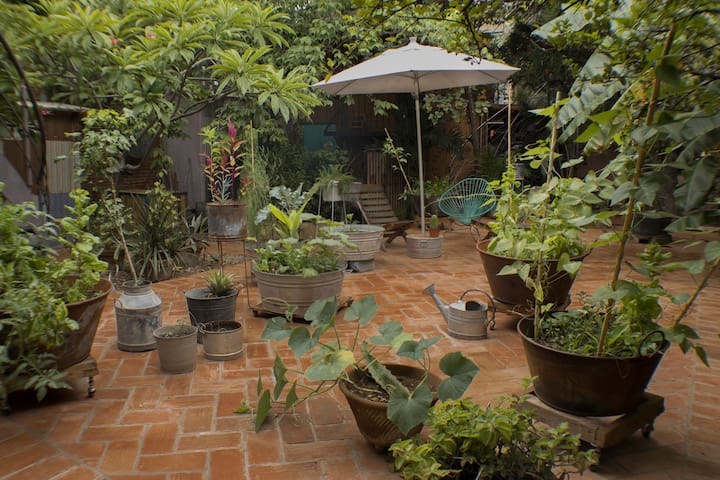 Eco Garden - La Fonda - Jardín Xoloitzcuintli - Oaxaca, Mexico