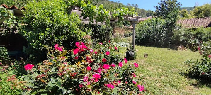 Maison Typique Cévenole Avec Jardin - Anduze
