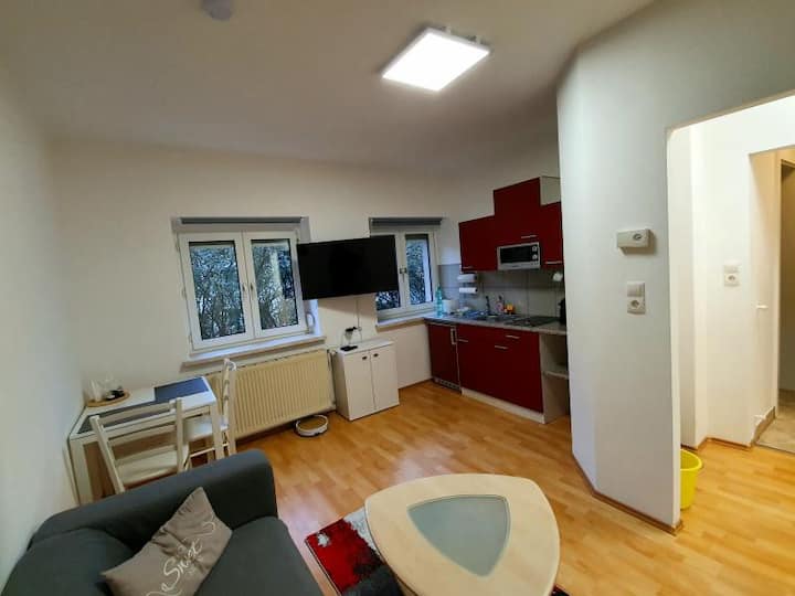 Linz Near Train Station: Cozy Apartment - リンツ