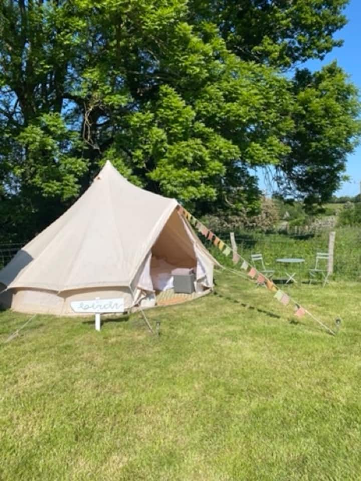 Birch- Beautiful Glamping - イギリス ストラウド