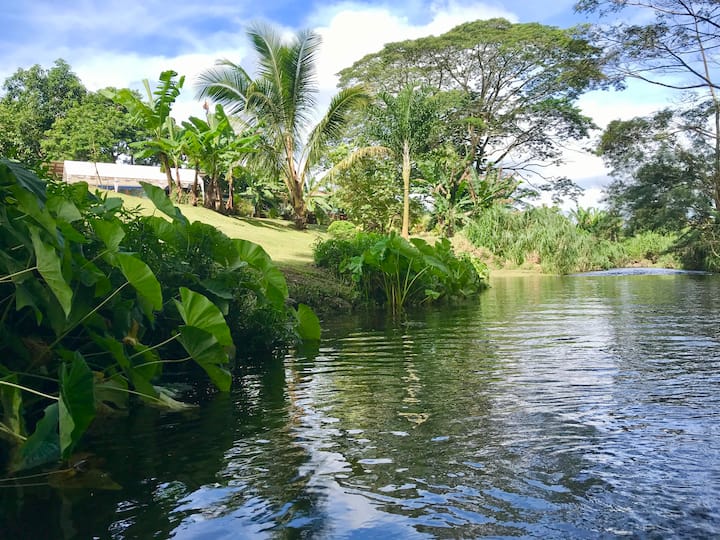 Teanavai Camping Site In Papeari - Polynésie française