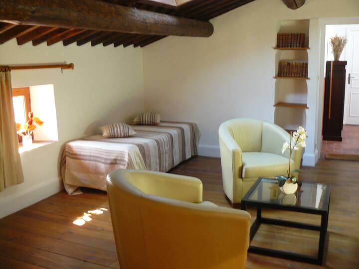 Romarin - Saint-Maximin-la-Sainte-Baume