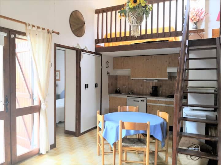 Agréable Pavillon Mitoyen Type 3 Mezzanine 66nom - Lacanau Océan