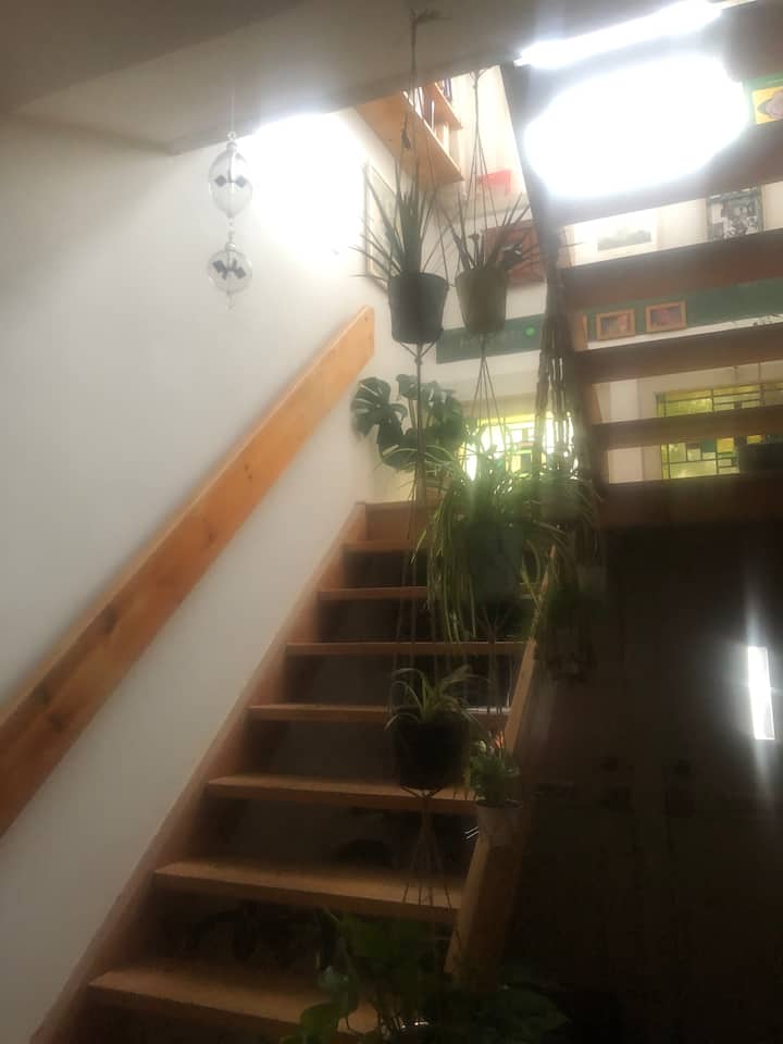 Zolderstudio In Centrum Rotterdam - Rotterdam