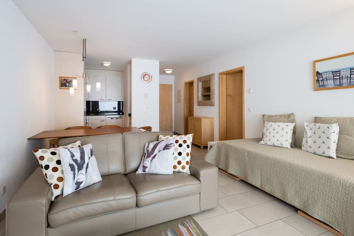 Luxury 2.5 Room Apartment: 60m2  (Reg. No.:13371) - Davos