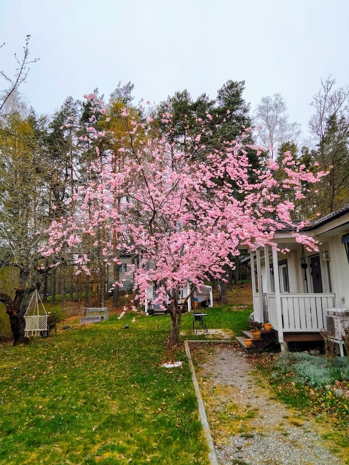 Drömsemester Utanför Strängnäs - Strängnäs