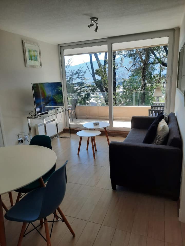 Acogedor Departamento Condominio Alta Vista Pucón - Pucón